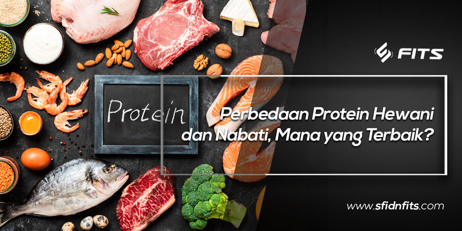 SFIDN FITS | Blog | Perbedaan Protein Hewani dan Nabati, Mana yang Terbaik? SFIDN FITS | Blog | Perbedaan Protein Hewani dan Nabati, Mana yang Terbaik?