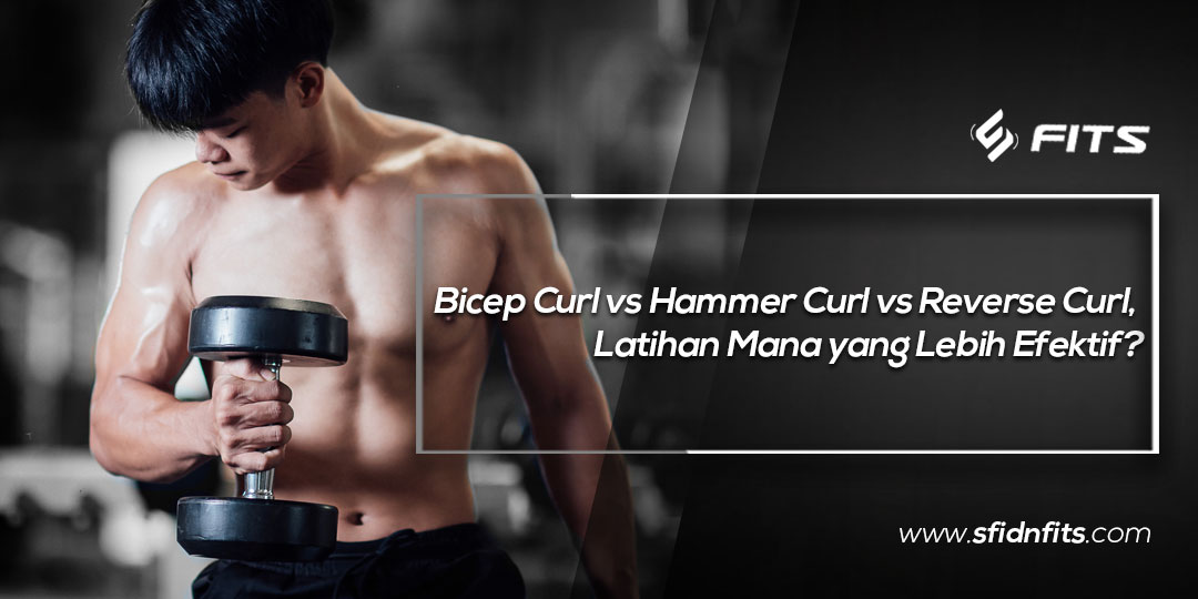 Sfidn Fits Blog Bicep Curl Vs Hammer Curl Vs Reverse Curl Latihan